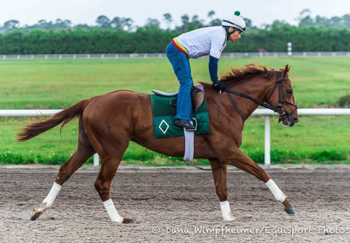 Hofburg Breezes Five Furlongs At Payson Park, Ships To Churchill Monday ...
