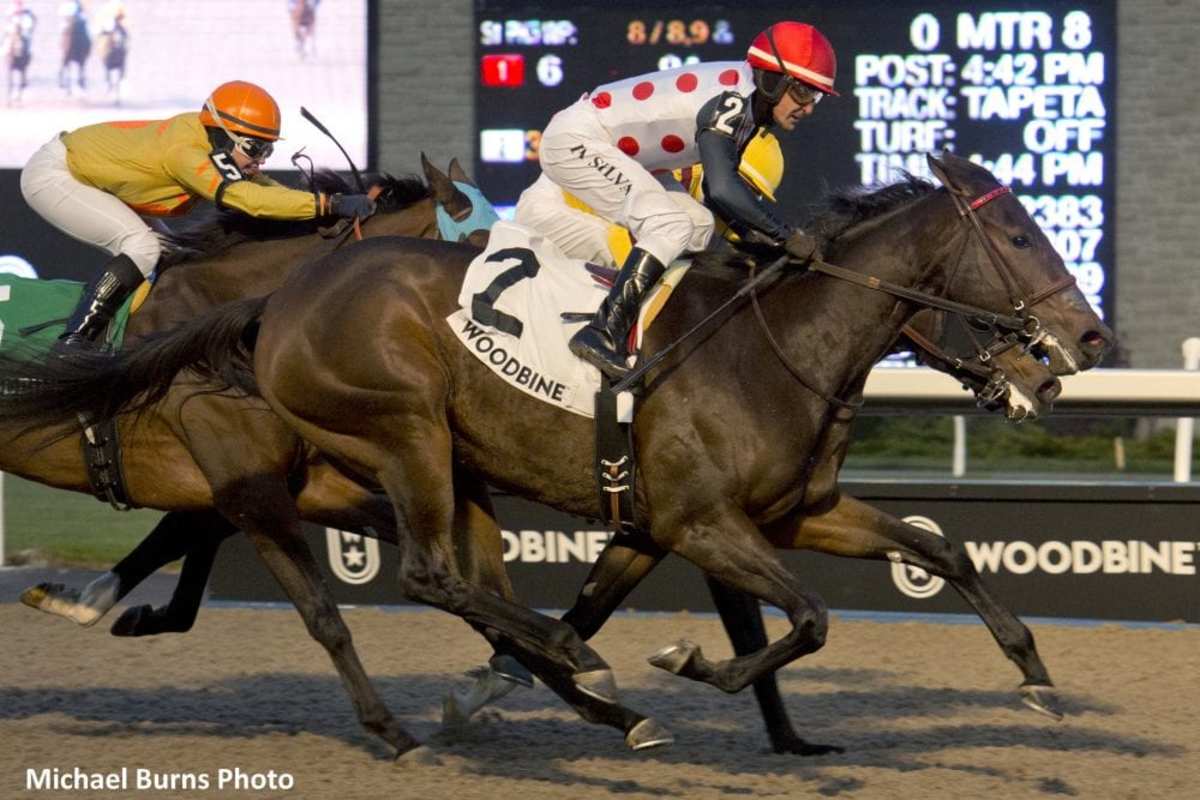 Casse Wins His Eighth Glorious Song Stakes With Souper Charlotte ...