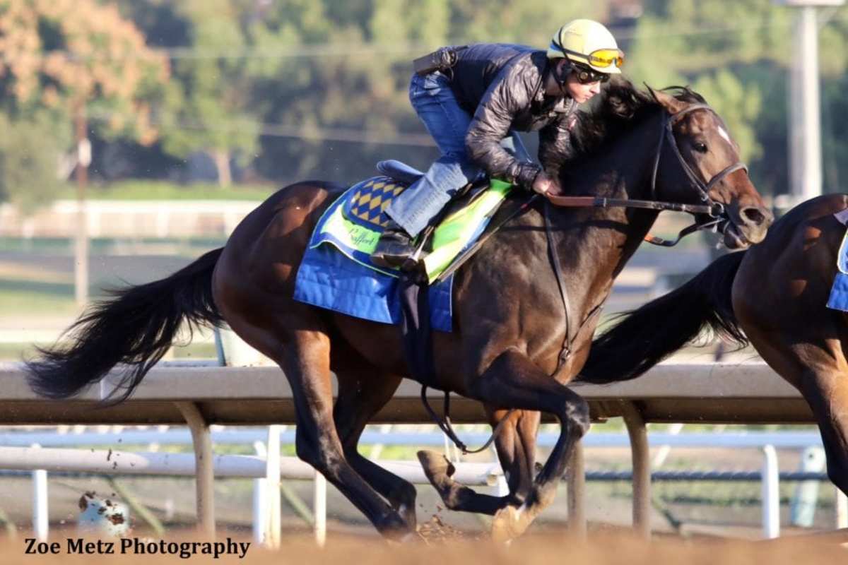 Refreshed Ax Man Set For Sprint Return In Palos Verdes - Paulick Report ...