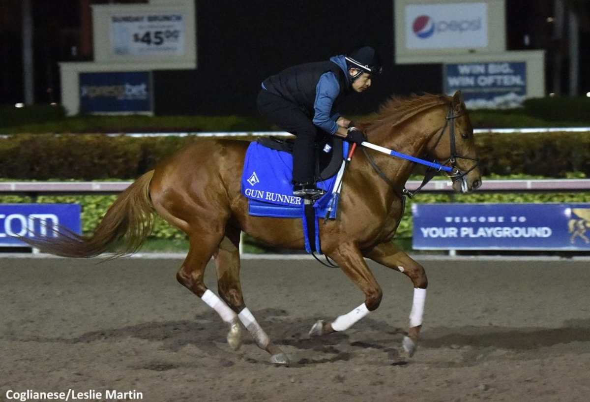 Gun Runner Arrives At Gulfstream Ahead Of Pegasus World Cup - Paulick ...
