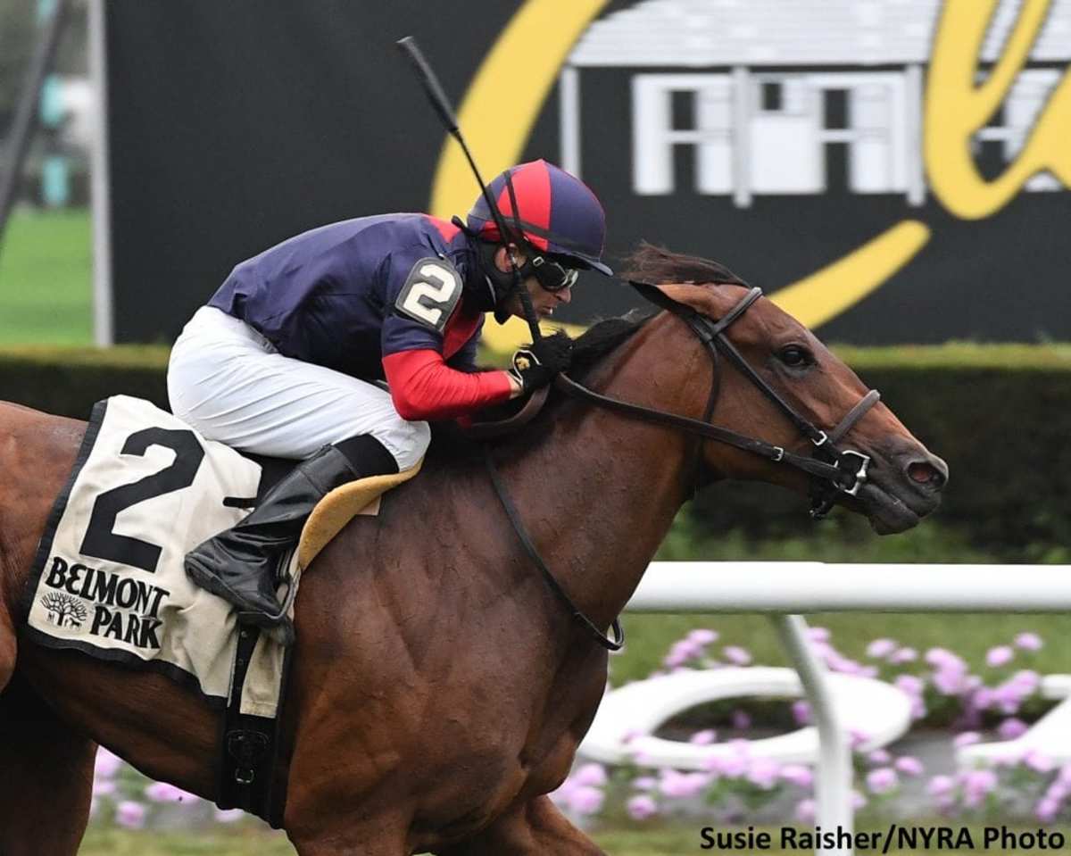 Lonely Road Gives Clement Third Win On The Card In Matron - Paulick ...