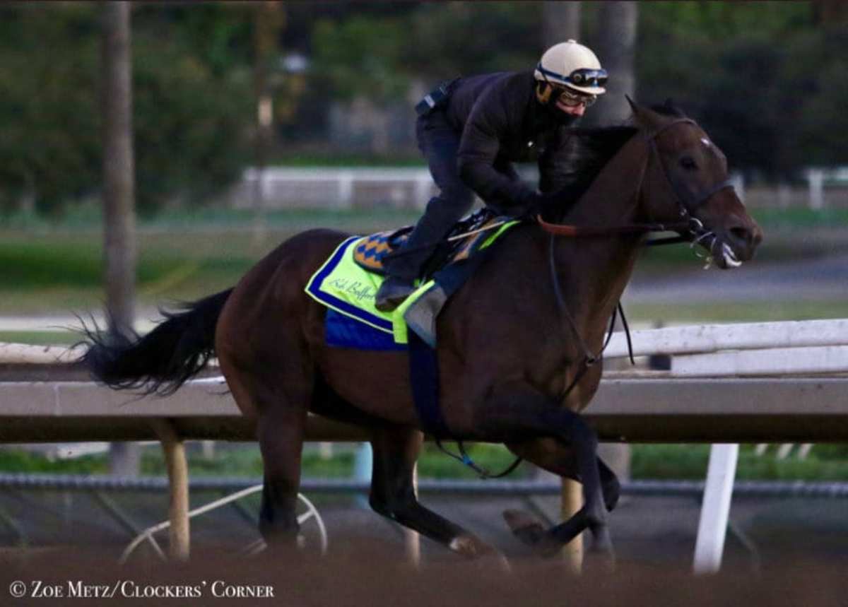 McKinzie 'Aiming' For Malibu Stakes, Along With Pair Of Baffert-Trained ...