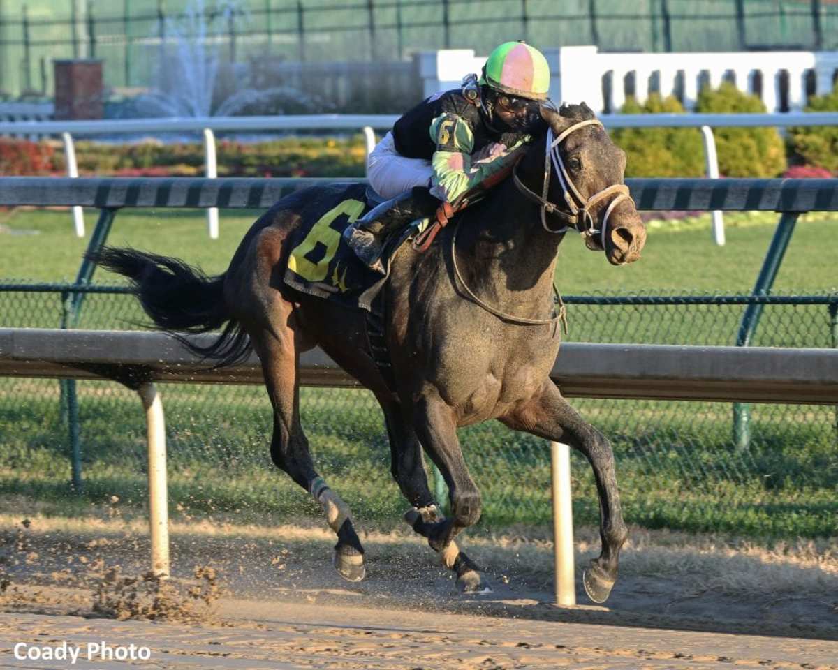 'Hey, We're Back In This': Jones Excited About 2-Year-Old Super Steed ...