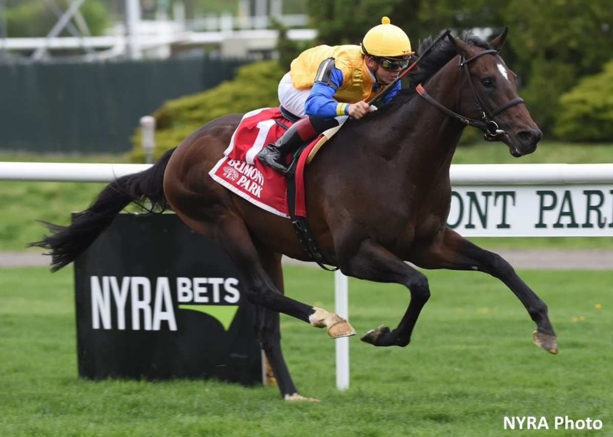 Robert Bruce Retired, Will Enter Stud In Chile - Paulick Report ...