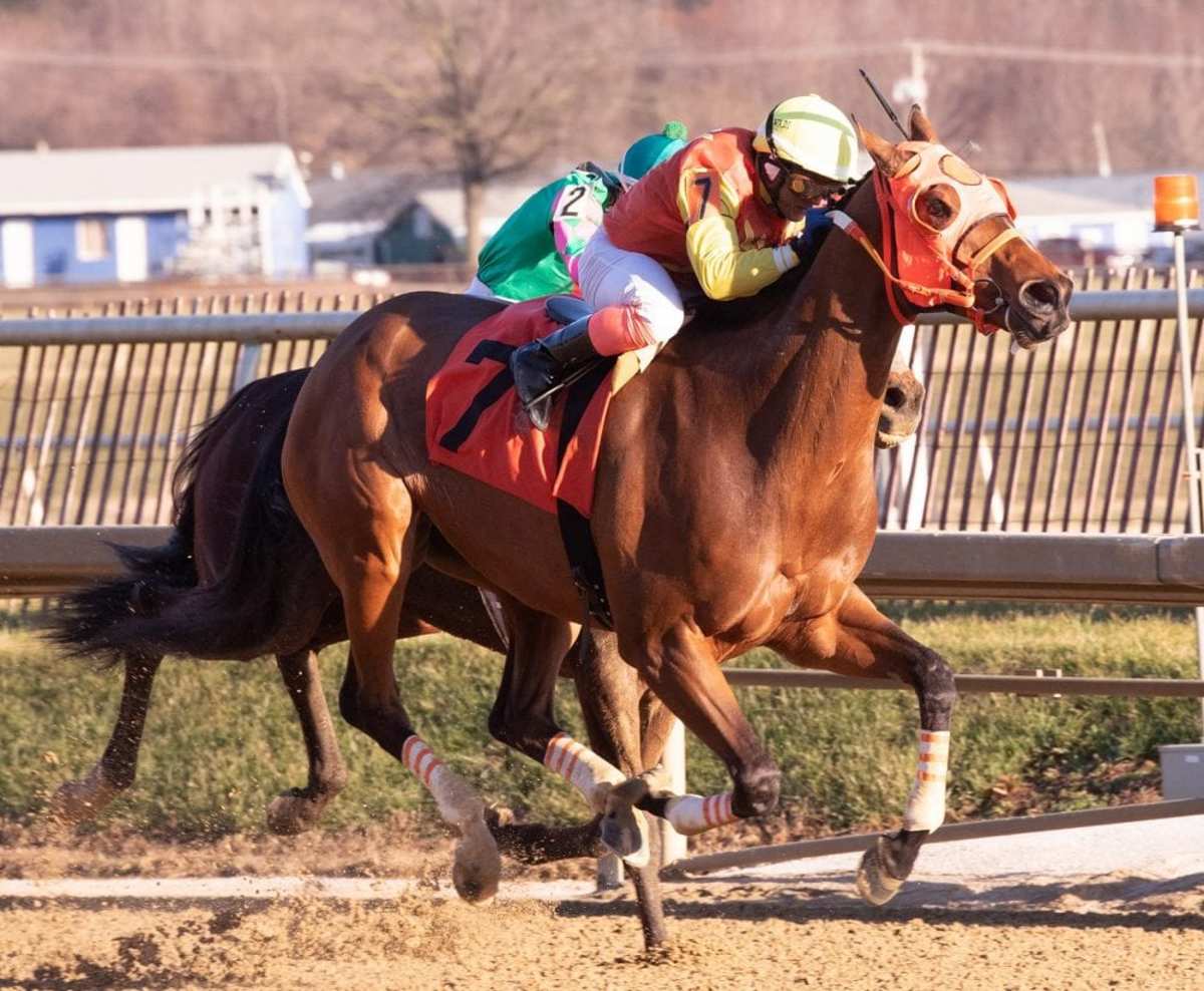 Colonel Sharp, Isotope Overwhelm Favorites In Laurel Stakes - Paulick ...