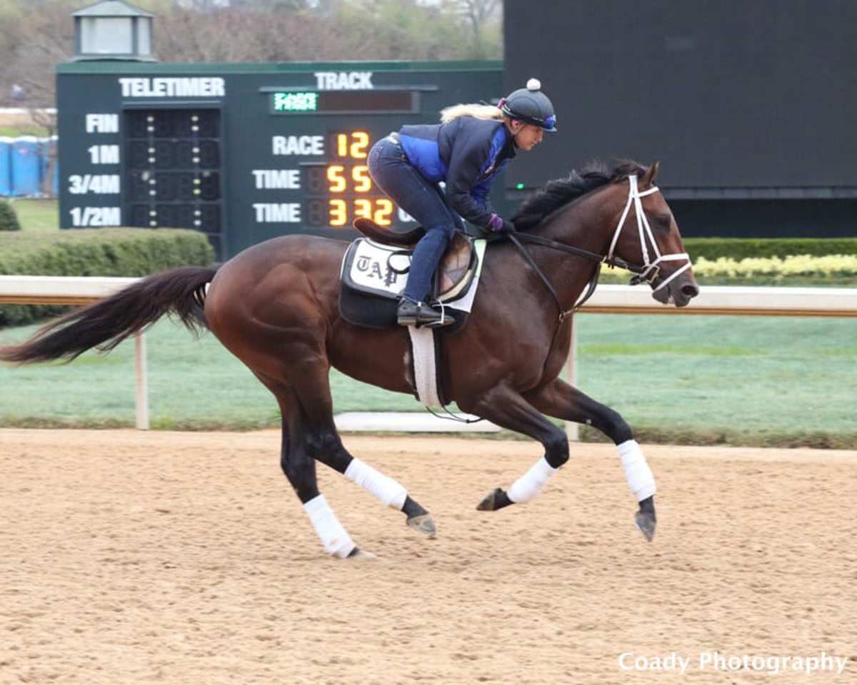 Weekend Lineup: Sophomores At Oaklawn - Paulick Report | Latest news ...