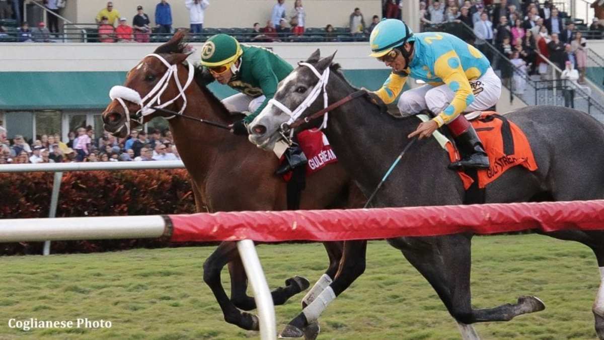 Speed Franco Noses Out Gidu For Dania Beach Triumph - Paulick Report ...