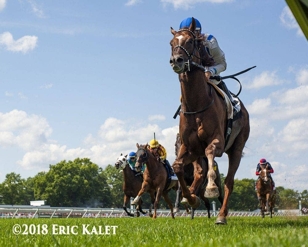 Del Mar Cards Jimmy Durante, Seabiscuit Handicap On Saturday - Paulick ...
