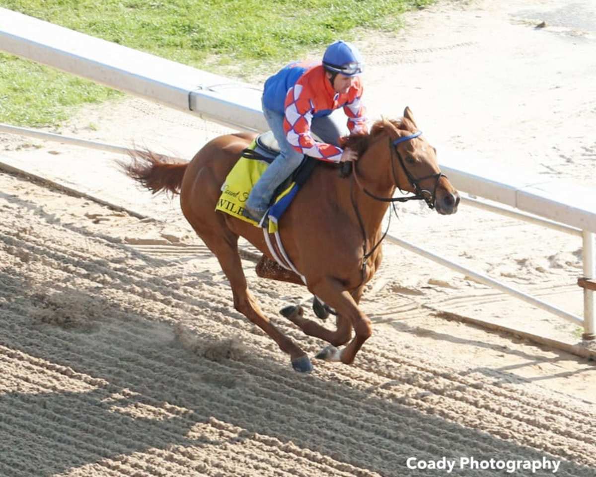 Wilbo Faces Half A Dozen In G3 Aristides Stakes At Churchill Downs ...
