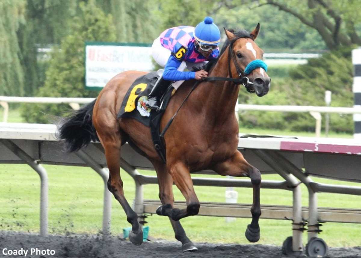 Half-Siblings Huntsville, Devileye Lock Up Arlington Stakes Double ...