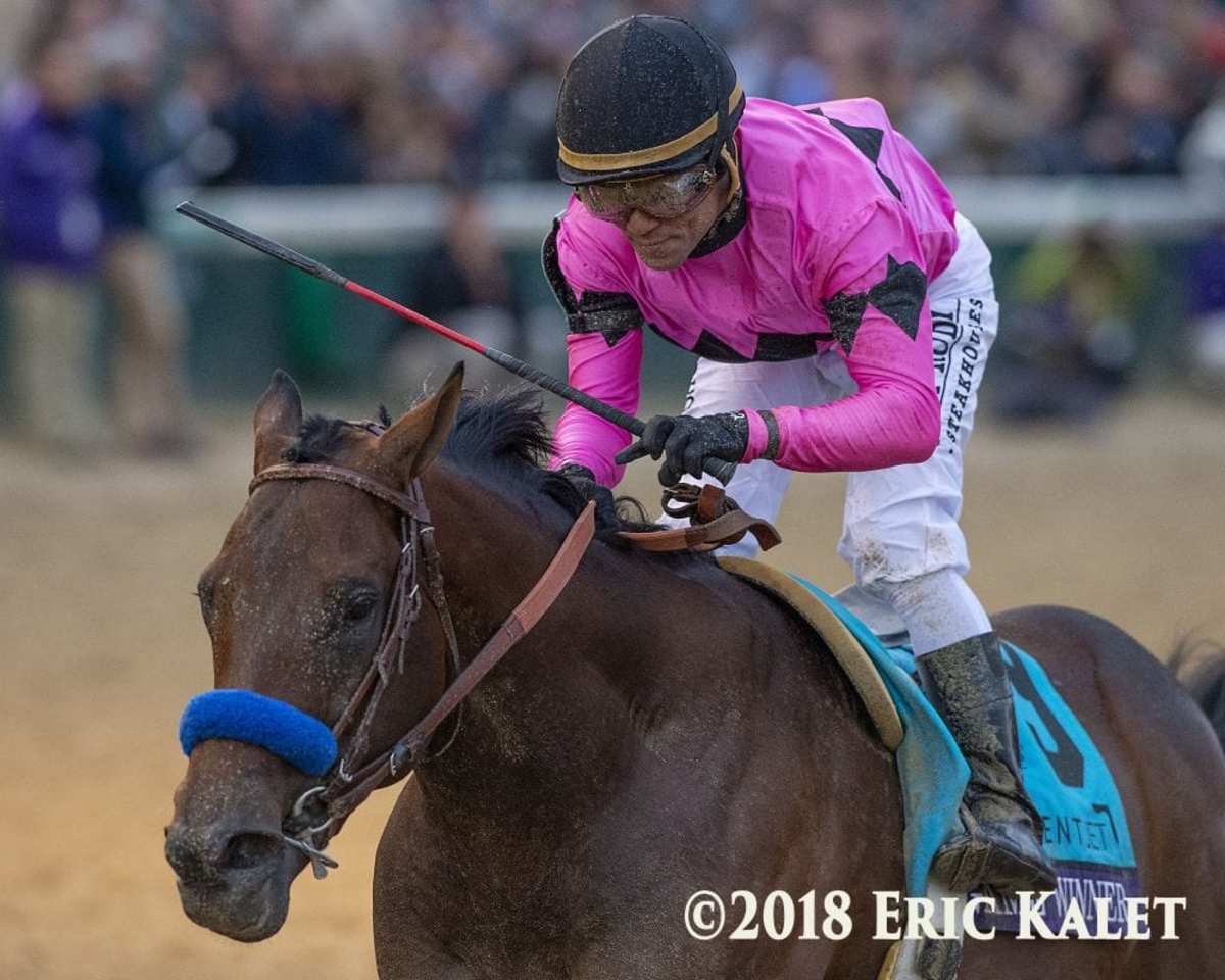 Champion Game Winner To Reside Full-Time In Brazil - Paulick Report ...