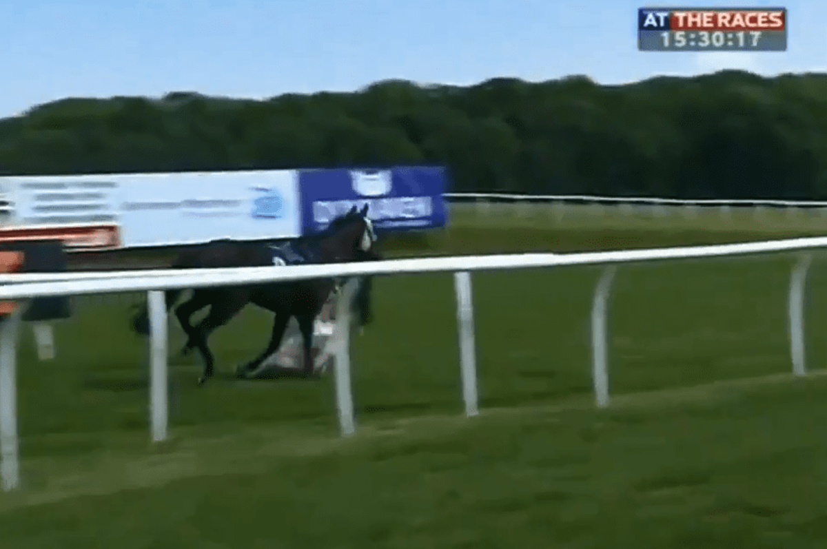 Good Catch: Broadcaster Hayley Moore Dives After Loose Horse At ...