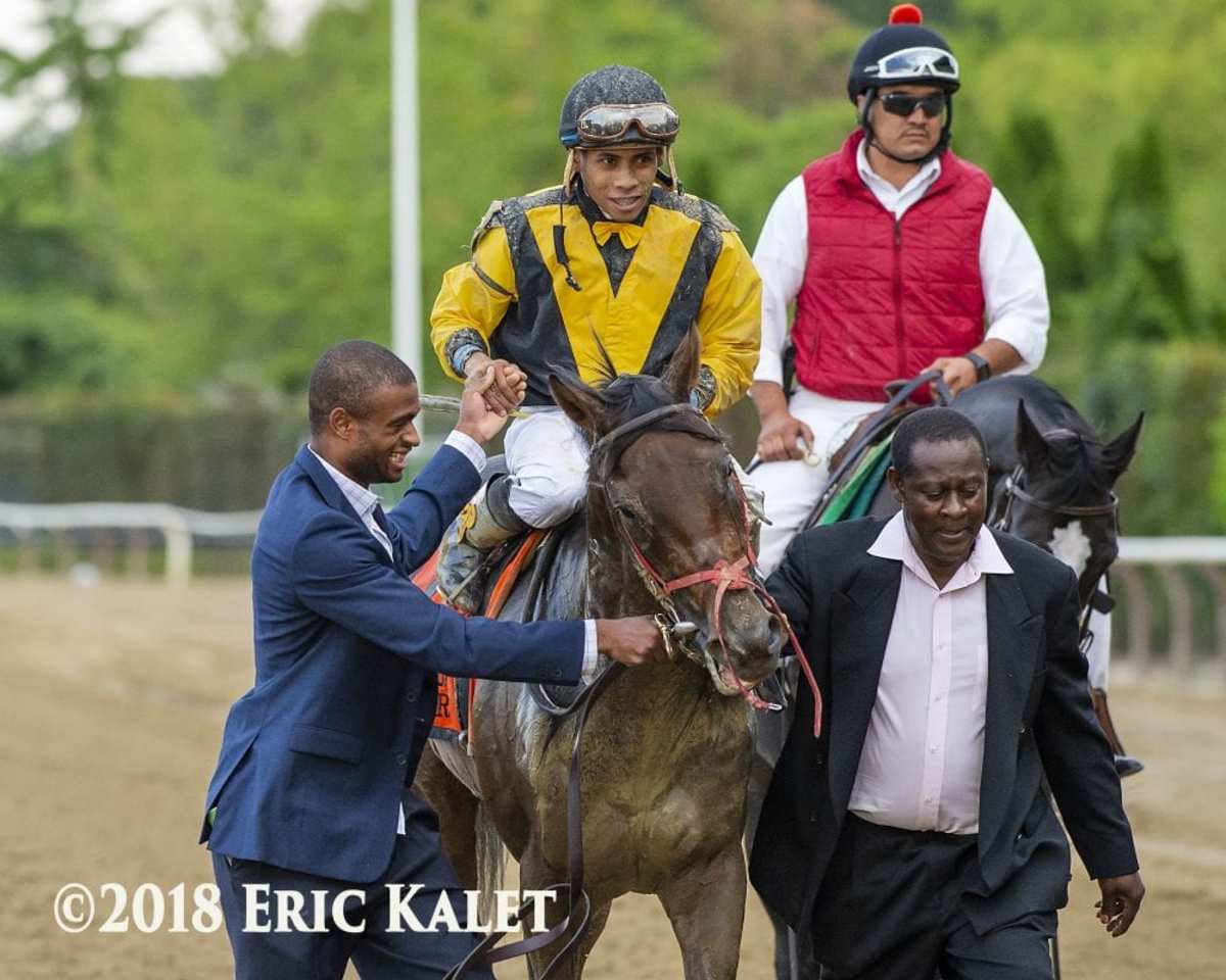 Discreet Lover Delivers At 45-1 In Jockey Club Gold Cup; Thunder Snow ...