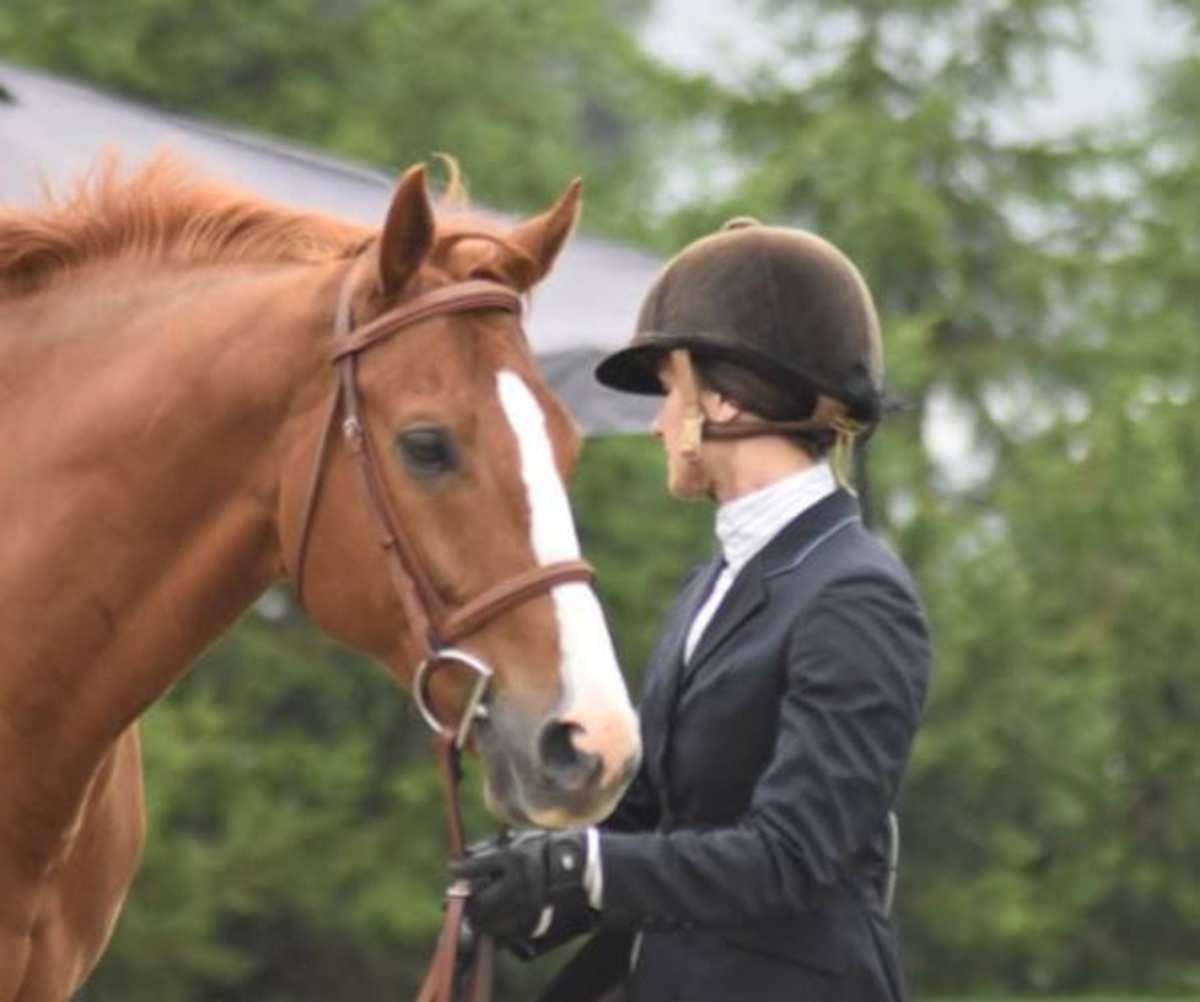 'Recognize And Remove': British Equestrian Releases New Unified ...
