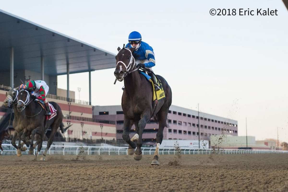 Avery Island Holds Strong Late For Withers Victory - Paulick Report ...