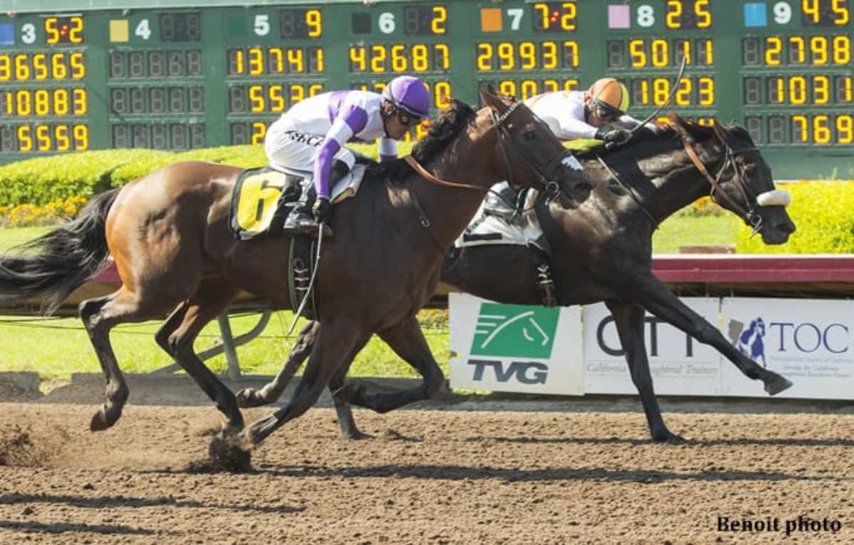 'Such A Big Heart': 10-Year-Old Soi Phet Tops Million-Dollar Mark With Bertrando Victory ...