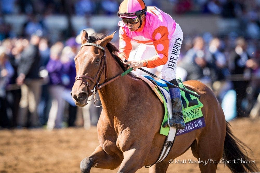 Breeders' Cup Winner Caledonia Road Out Of Training, To Be Sold At ...