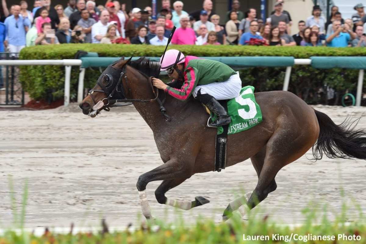 Tequilita Goes Out On Top In Rampart Stakes - Paulick Report | Latest ...
