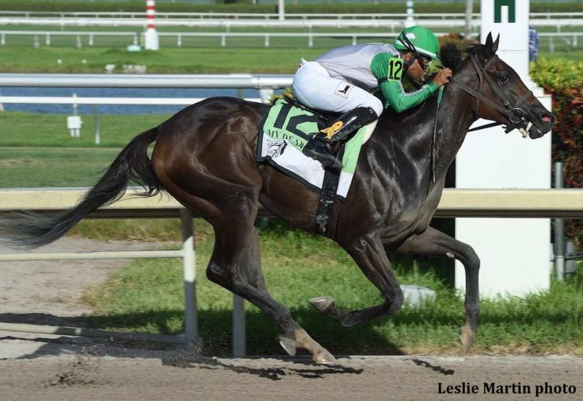 Will Cookie Dough Rise To Occasion In Black-Eyed Susan? - Paulick ...