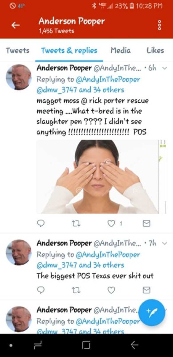 Chicken Houses And Horse Rescue: A Complicated Tale - Paulick Report ...