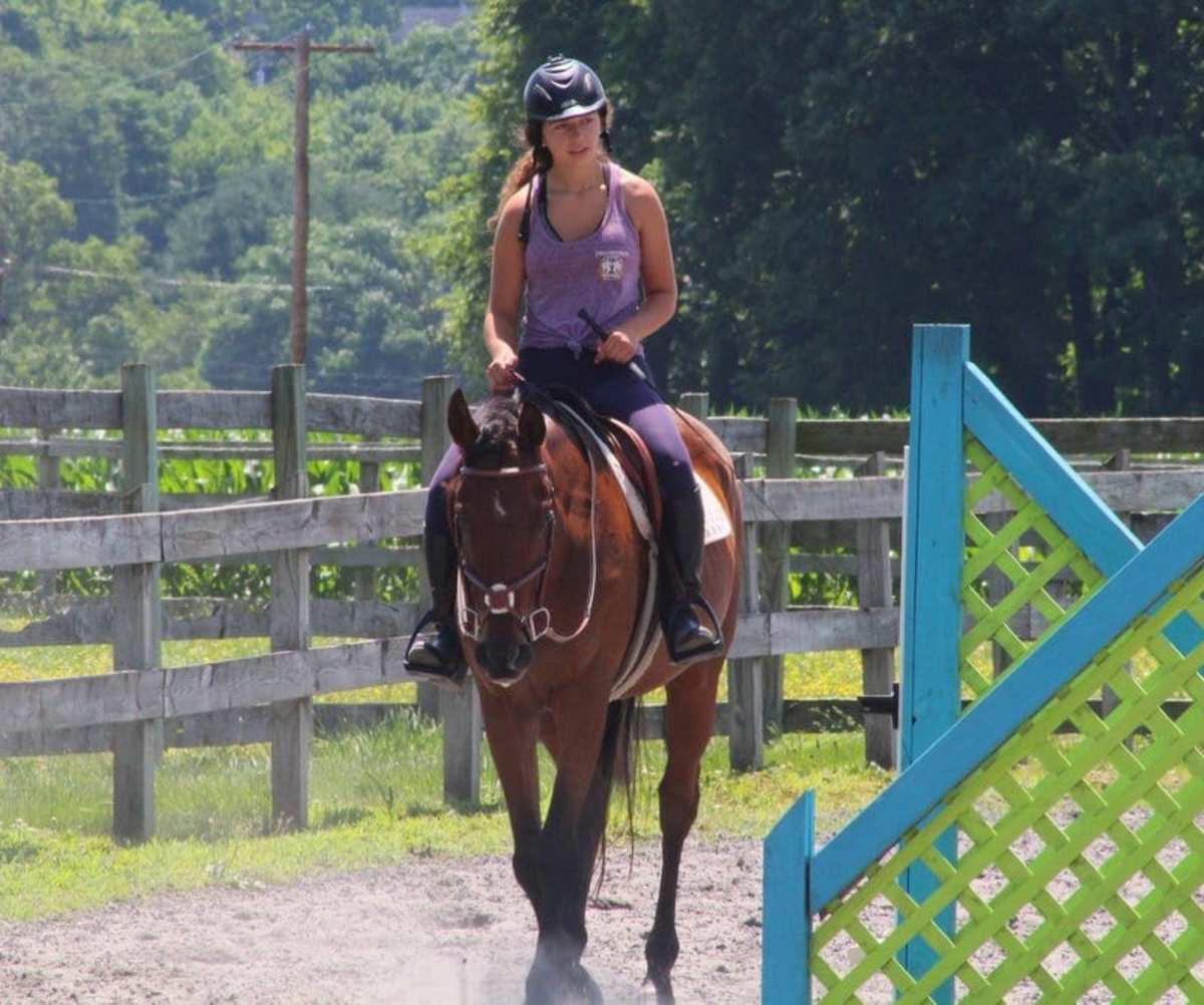 Cosequin Presents Aftercare Spotlight: For The Love Of Smarty Jones And ...