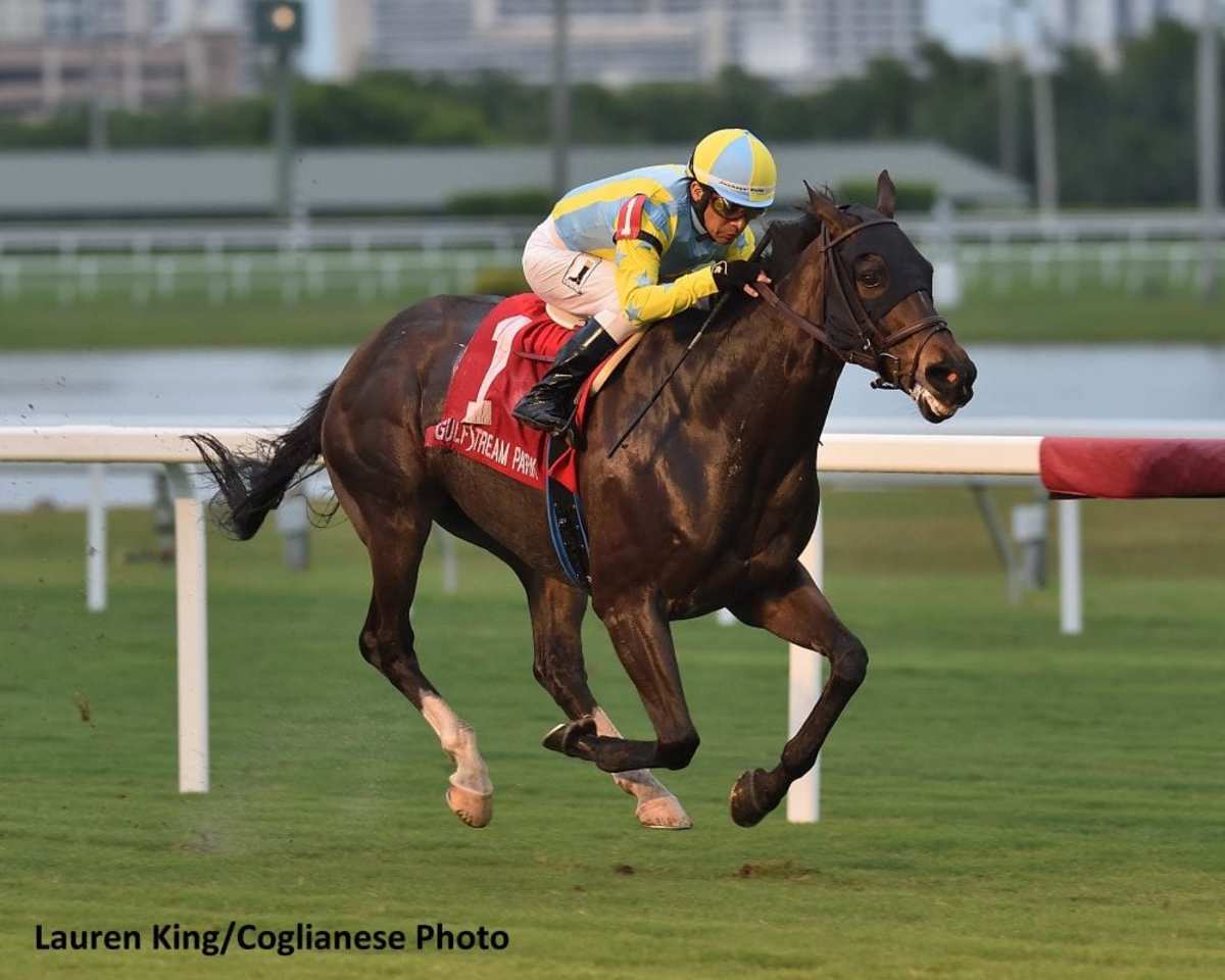 Glorious Empire Makes A Statement In Front-Running Fort Lauderdale Win ...