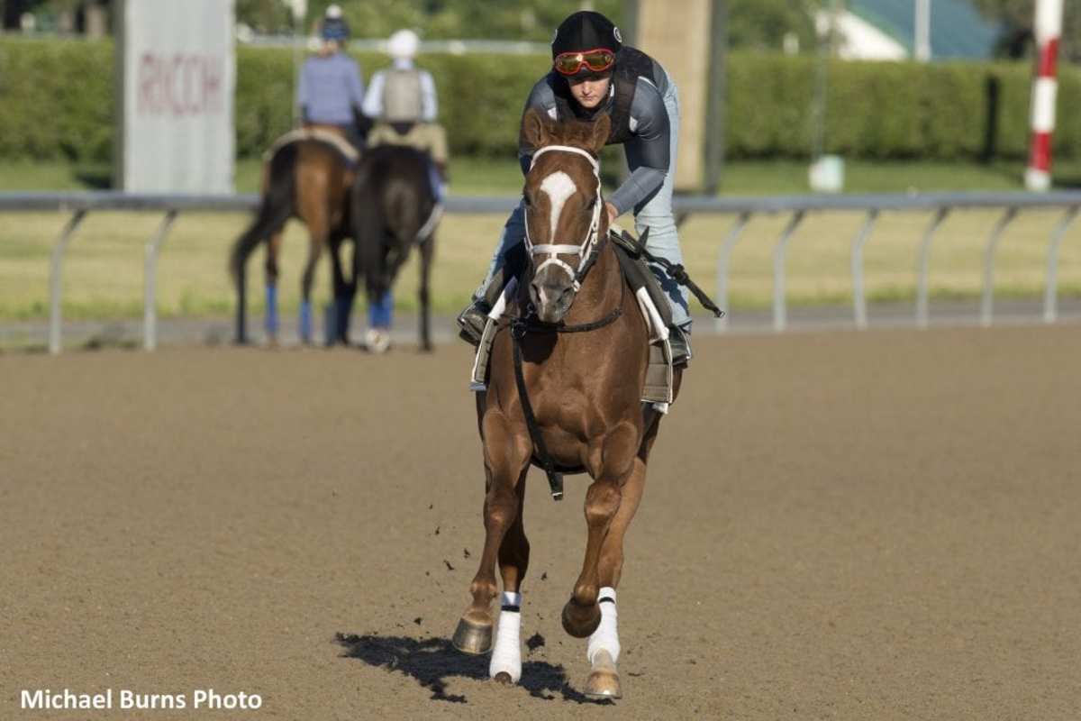 Ramseys Send Out Trio Of Queen's Plate Contenders - Paulick Report ...
