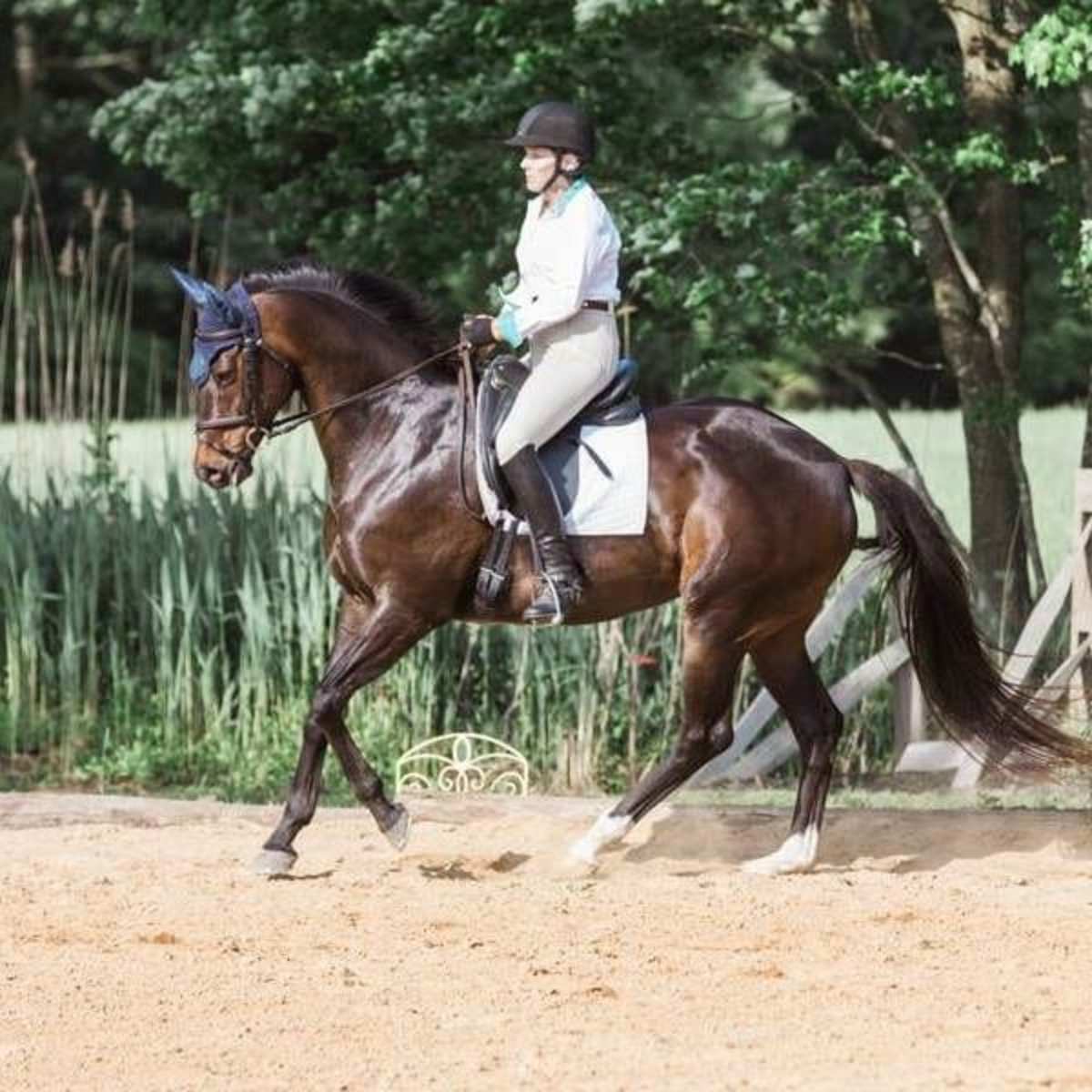 Cosequin Presents Aftercare Spotlight: Aheadofthebest Lives 'Up To Her ...