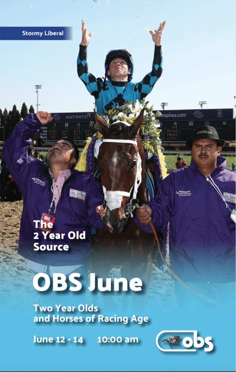 $400,000 Tapit Colt Tops OBS June Sale’s Opening Session - Paulick ...