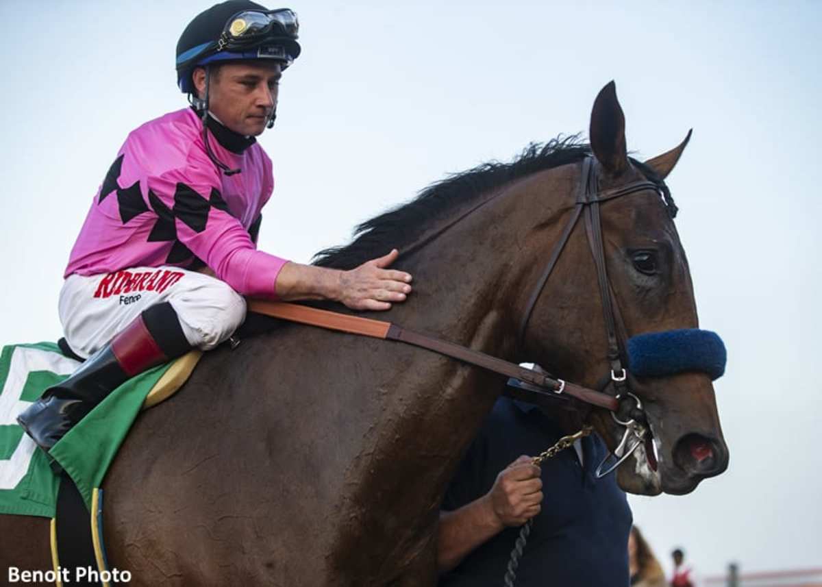 Van Dyke Fined, Suspended For HISA Crop Violation; Owner May Lose ...