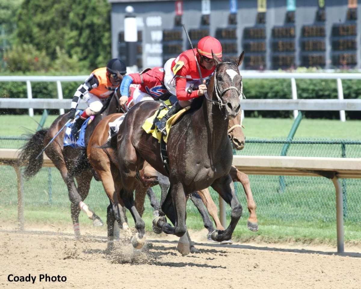 Mexico's Kukulkan Considered For Stephen Foster After 'Very Good ...