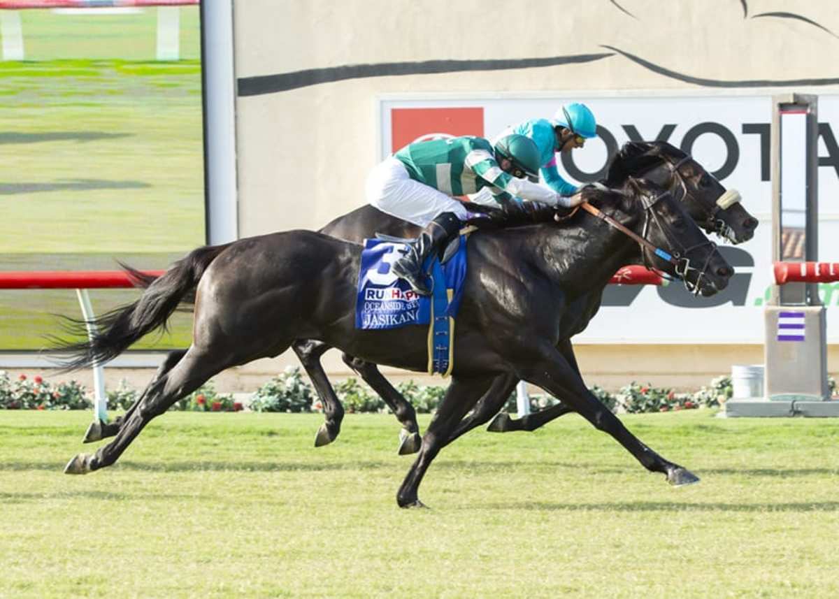 Irish-Bred Jasikan Takes Del Mar's Opening Oceanside Stakes For Sadler ...