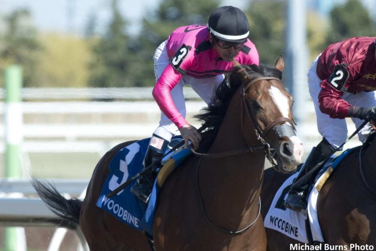 Da Silva Caps Six-Win Day With Wando Stakes Victory - Paulick Report ...