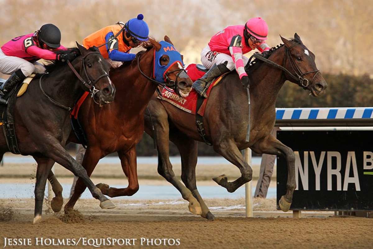 Kentucky Derby Pedigree Corner: Win Win Win, Cutting Humor, Tax, and ...