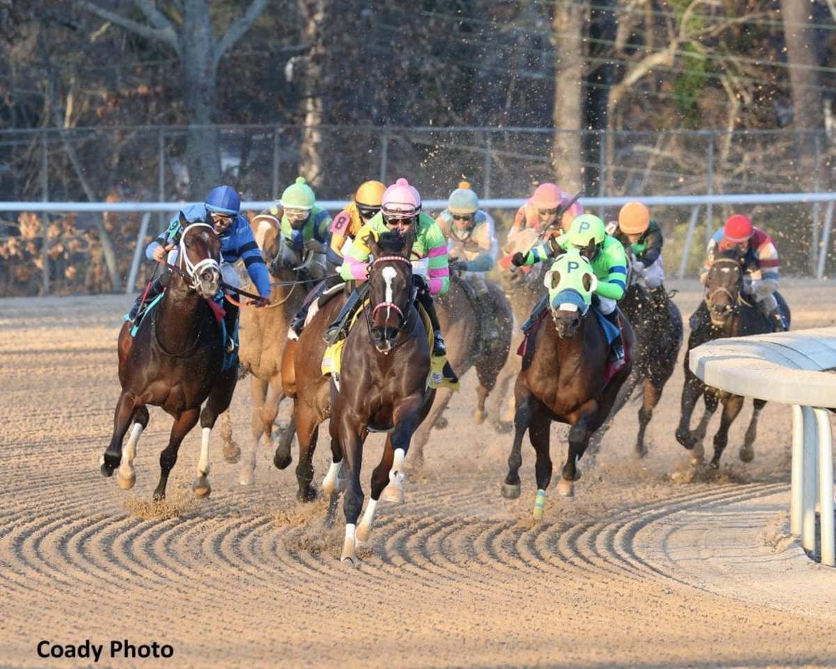 Stakes Record-Setting Amy's Challenge 'A Little Stronger' This Year ...