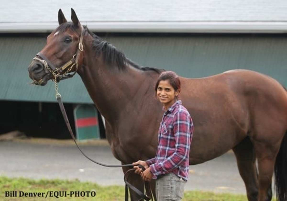 New Jersey Commission Bans Aparna Battula 2 1/2 Years, Issues $7,500 ...