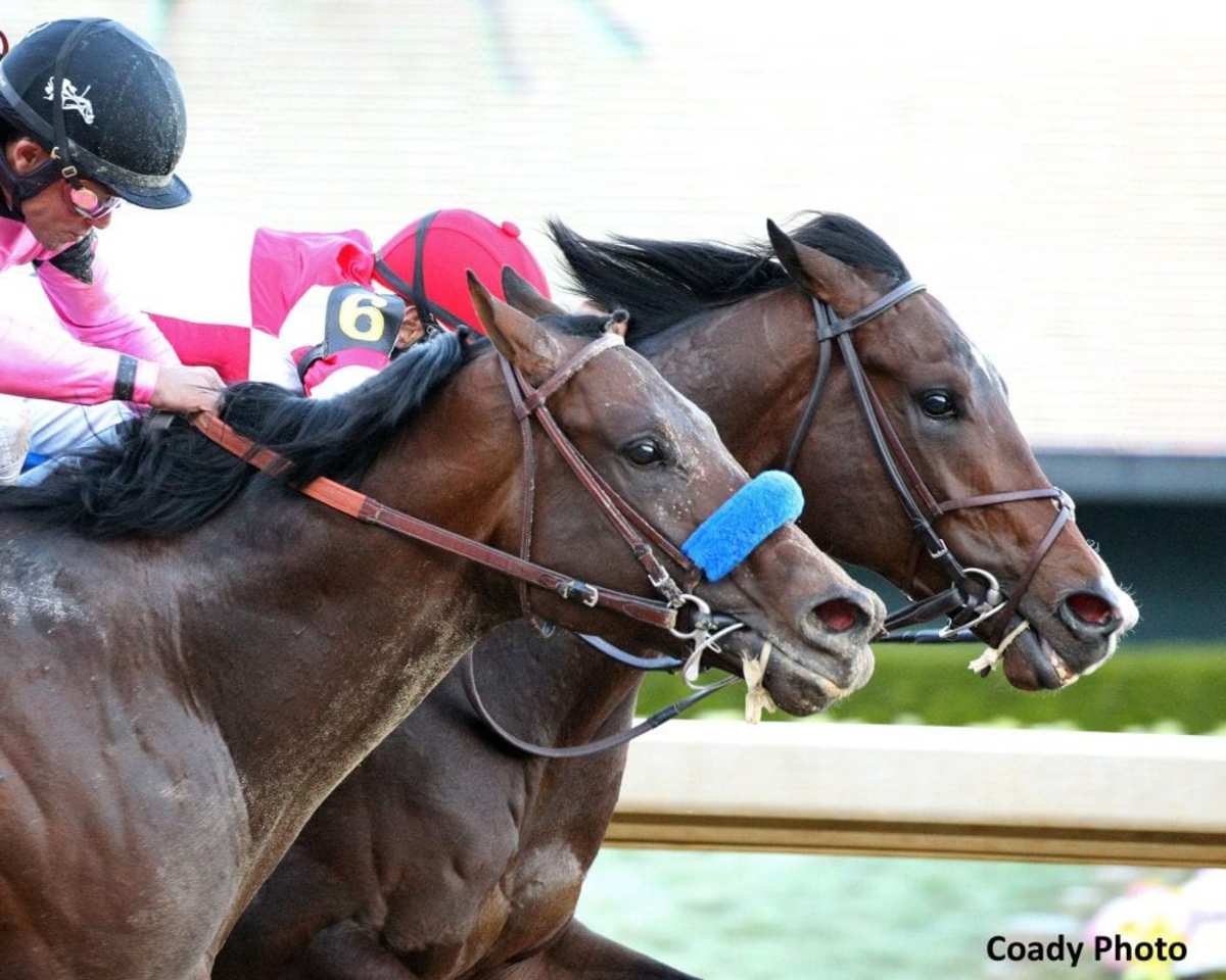 Long Range Toddy Will Aim For Arkansas Derby; Omaha Beach To 'Play It ...
