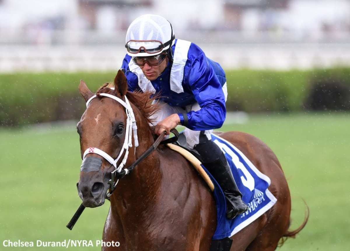 Qurbaan Retired To Shadwell Farm For 2020 Breeding Season - Paulick ...