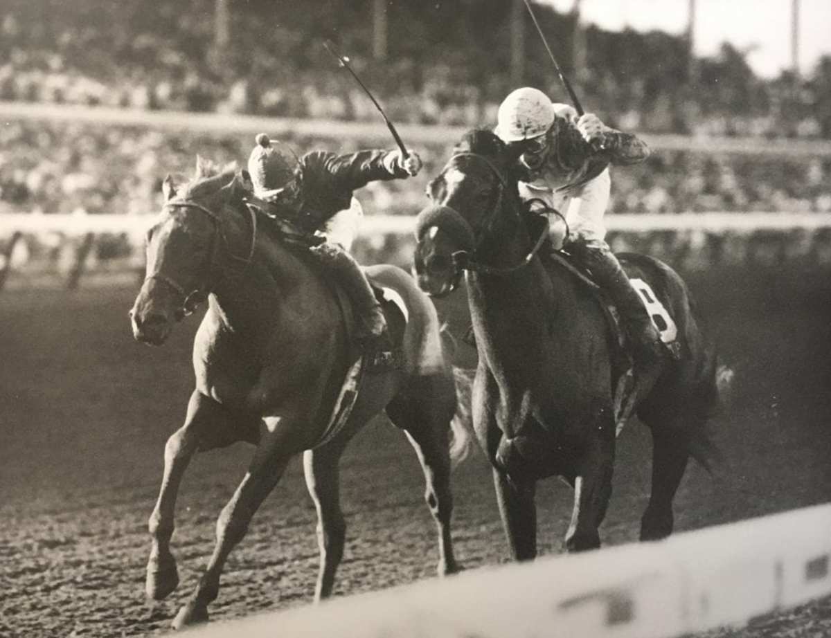 Sunday Silence: Unwanted Youngster To Hall Of Famer - Paulick Report ...