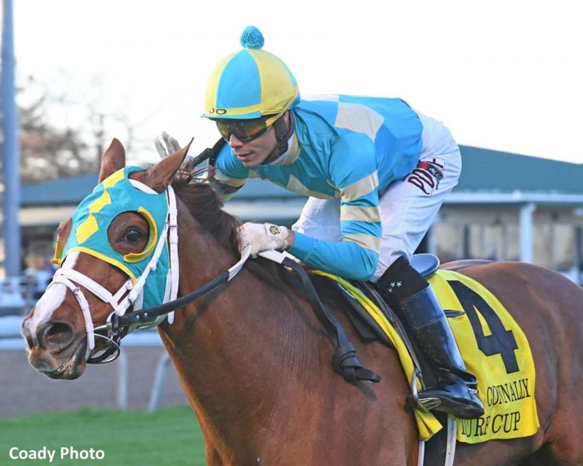 Bigger Picture Three-Peats In Connally Turf Cup - Paulick Report ...