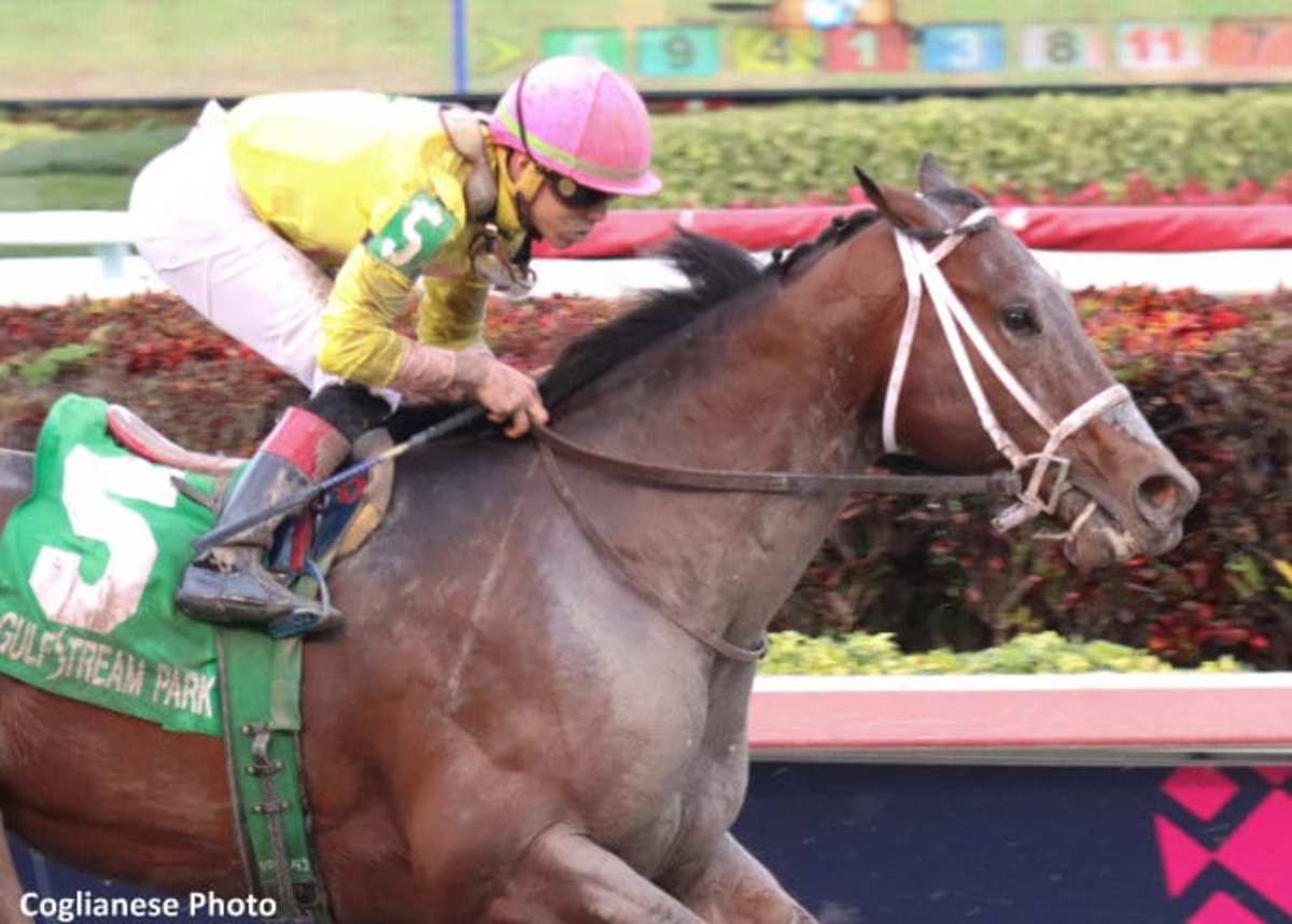 Former Jason Servis Trainee Call Paul Fatally Injured During Belmont ...