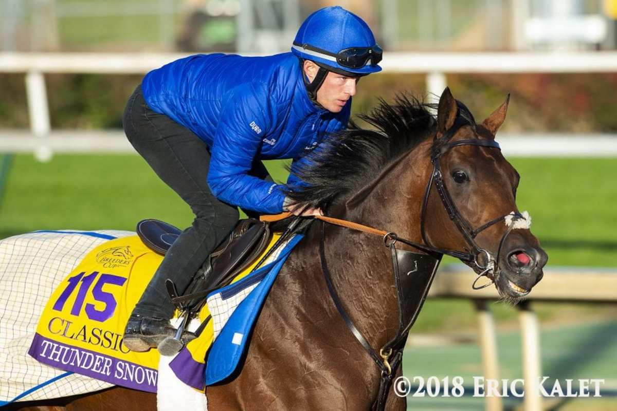 Thunder Snow 'In Good Order,' Arrives At Belmont For Met Mile - Paulick ...