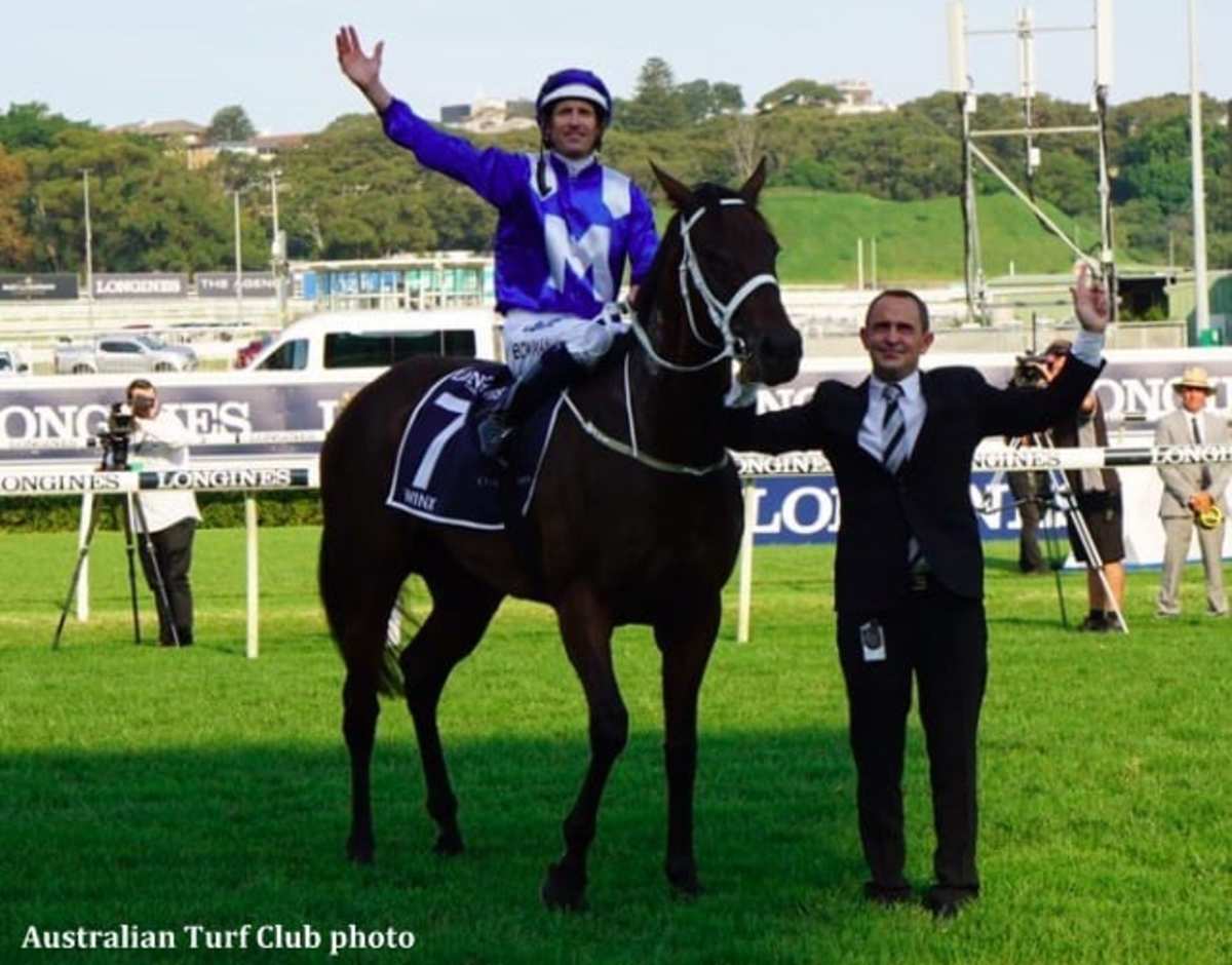 'Bouncing Around The Yard': Dam Of Australian Star Winx Has Deep Impact ...