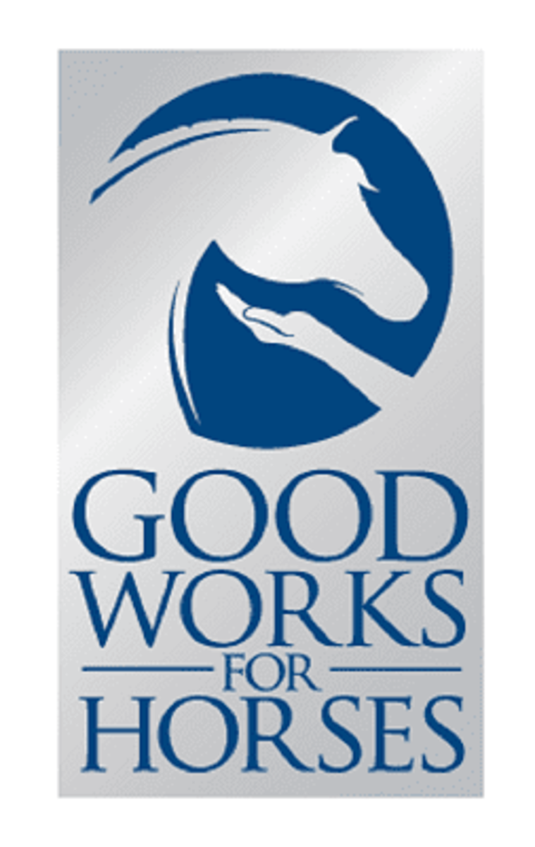 Dr. Brett Weseli Honored By AAEP’s Good Works Campaign For May ...