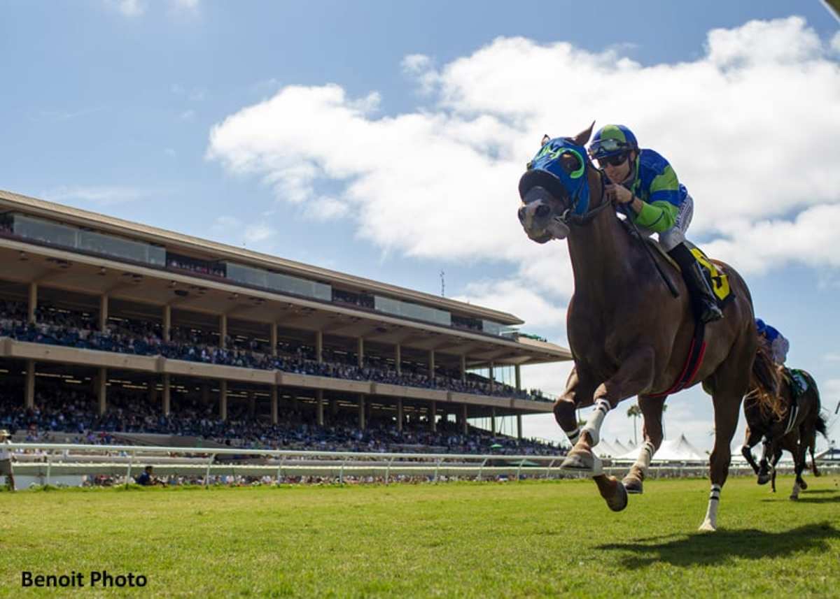 Graded Stakes Winner Mr Vargas Converts Adopter To Love OTTBs, With ...