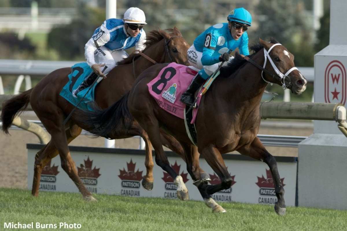 Starship Jubilee Triumphant In E. P. Taylor - Paulick Report | Latest ...