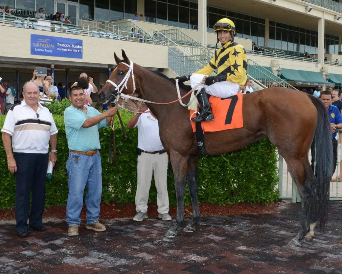 'A Lot Of Dreams' Launched In 36 Years Of Florida Sire Stakes - Paulick ...