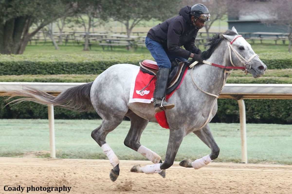 Fires Turns To Old Friend To Help With Southwest Stakes Contender ...