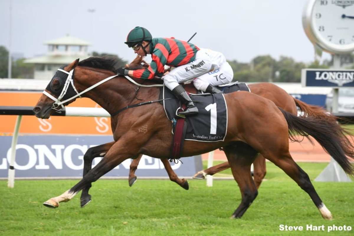 Australia's Golden Slipper Day: Winx Seeks 32nd Straight Win In ...