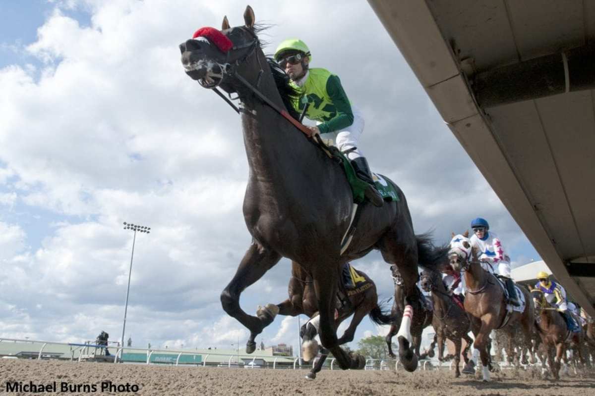 California Shipper One Bad Boy Leads Queen's Plate Rivals Gate-To-Wire ...